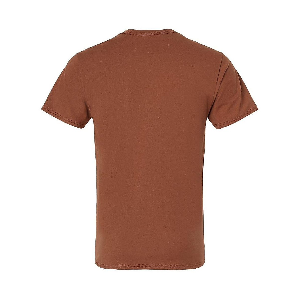 Hanes Mens Nano-T T-Shirt, L, Canyon Rock Brown