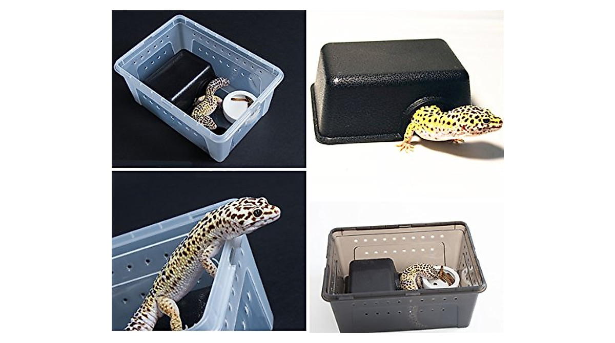 Reptile Hide Box Small Animal Hideaway for Snakes & Lizards