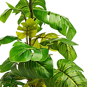 imagitarium Stand Araceae Plant Terrarium Decor, Small