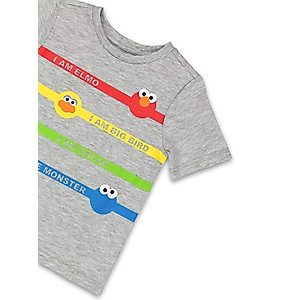 Isaac Mizrahi Loves Sesame Street Gang Elmo Toddler Baby Short Sleeve Tee (24 Months, Gray)