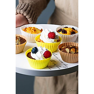 Silicone Lunch Bento Box Dividers, Bento Bundle Lunch Box Accessories for Lunch Containers