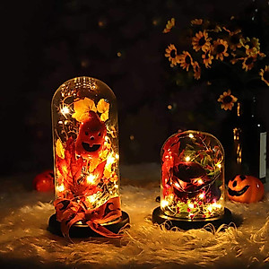 CCOOfhhc Halloween Pumpkin Lights,Glass Pumpkin Roses Halloween Smiley Pumpkin Shade Halloween Decoration