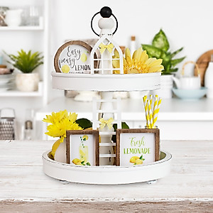 The Ultimate Farmhouse Tiered Tray Decor Set - Beautiful Year Round Seasonal & Holiday Decoration Bundle - The Perfect Easter, Spring and St Patricks Day Centerpiece Designs for Home & Kitchen Decor