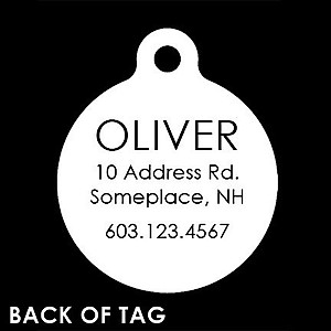 Medical Alert Dog Cat Pet ID Tag - "I Need A Special Diet and Medication" - Perso...