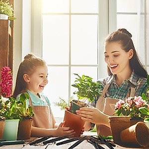 8 Pcs Venus Fly Trap Feeding Tweezers, Carnivorous Plant Feeding Tongs Straight and Curved Food Tongs for Flytraps Pitcher Plants Butterwort Reptile Feeding (4.6Inch)