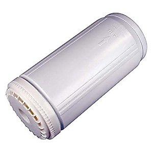 Hydro-Logic 22096 10-Inch by 4.5-Inch Pre-Evolution KDF/Catalytic Carbon Filter