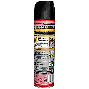 Ant and Roach Killer, 17.5oz Aerosol