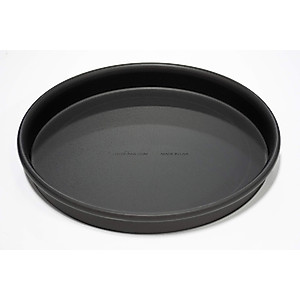 LloydPans Straight Sided Pizza Pan, Pre-seasoned PSTK (1, 10 inch)