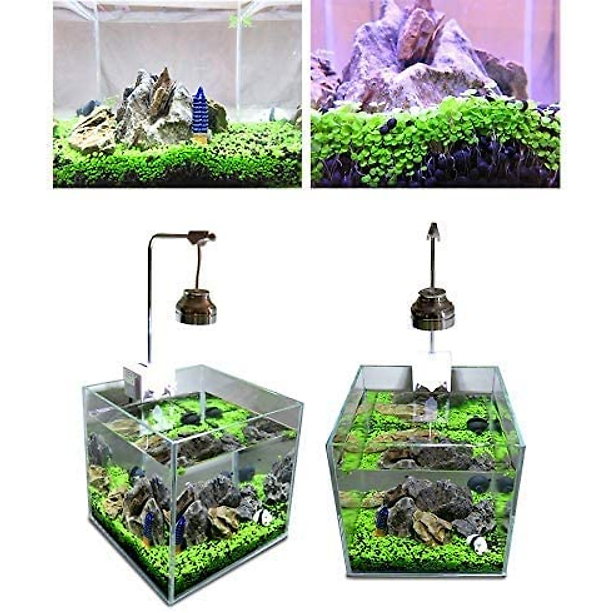 Wpmlady 4 Pack Aquarium Small Leaf Grass