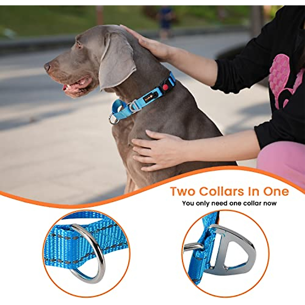JuWow Nylon Martingale Collar, Adjustable Pet Slip Collar with Breakaway Buckle for Medium Large Dogs, Reflective Stitching Collar for Safe Training Walking (Large:17-22" * 1", Blue)