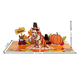 iGifts And Cards Thanksgiving Blessings with Corgi 3D Pop Up Card - 6x8 Greeting Card with Envelope & Notecard, Cornucopia of Thanks, Holiday Season, Autumn Harvest, Gratitude Gift for Dog Lovers