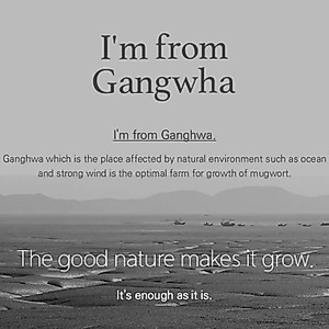 [I'M FROM] Mugwort Mask 3.88 fl oz | Natural Herb, Tea tree, Wash-off, Cooling and fast Soothing Breakouts, for Sensitive skin