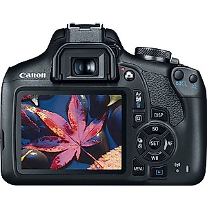 Canon EOS 2000D/T7 Vlogger Kit:EF-S 18-55mm,EF 75-300mm & 420-800mm Lenses,64GB Memory Card,Ring Light,Spider Tripod, Filter Kit,Gadget Bag,Remote Shutter,USB Card Reader (Renewed)