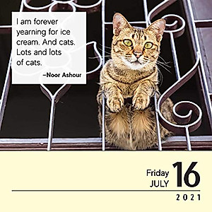 Cats 2021 Day-to-Day Calendar