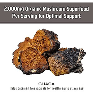 Om Mushroom Superfood Chaga Organic Mushroom Powder, 3.5 Ounce, 50 Servings, US Grown, Sacred Antioxidants & Immune Support, Superfood Mushroom Supplement