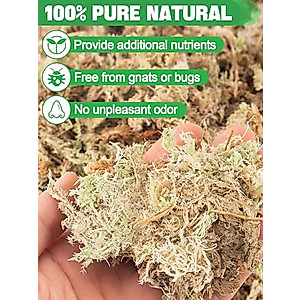 10 Oz Natural Sphagnum Moss for Plants- 22QT Dried Orchid Moss for Repotting Moisture Holding Plant Moss for Potted Plants Indoor Plant Growing Medium for Carnivorous Plants Succulent
