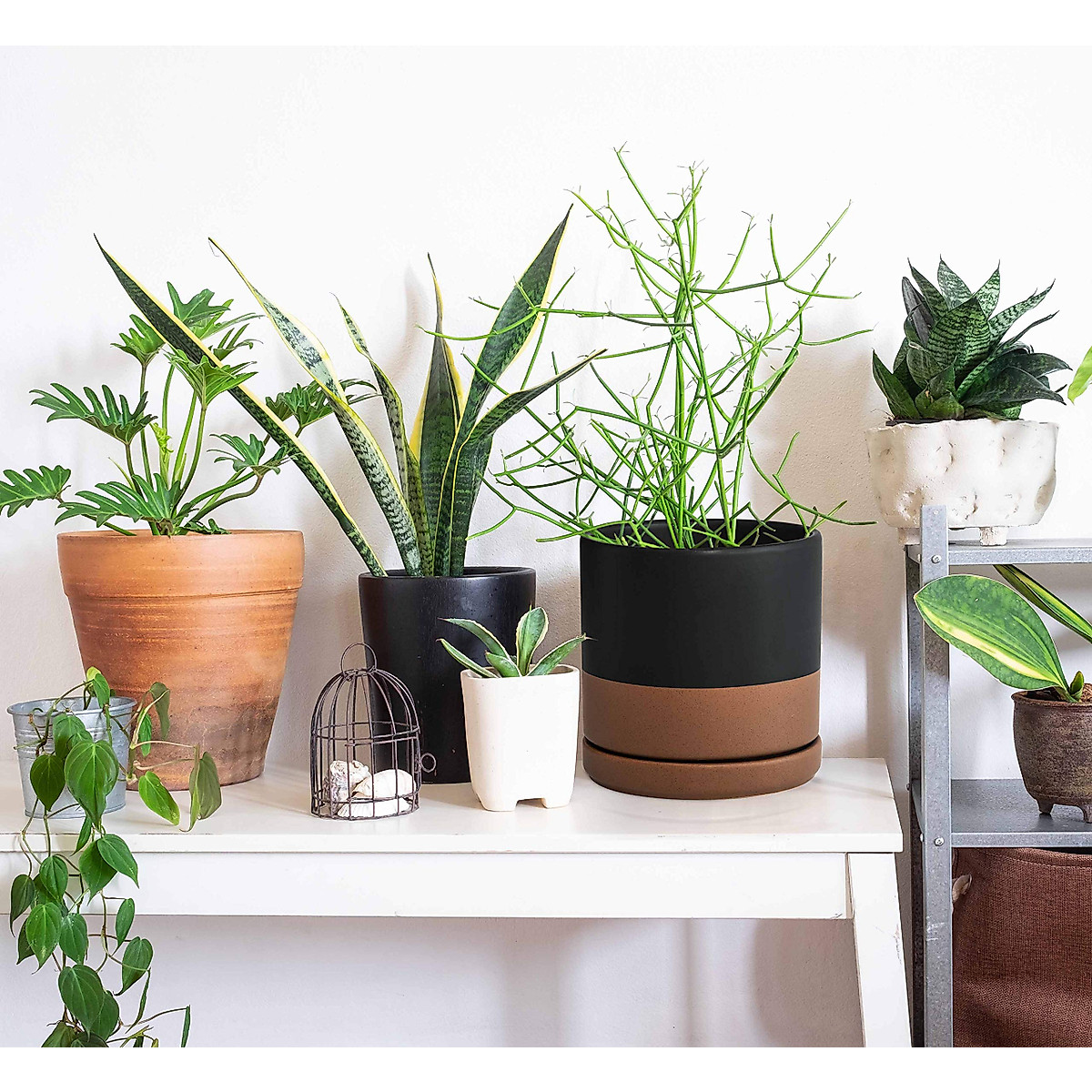 D'vine Dev 6 Inch Ceramic Planter Pot with Drainage Hole and Saucer, Indoor Cylinder Round Planter Pot, Black/Speckled Tan, 94-O-S-7