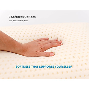 Talalay Natural Latex Foam Pillow DreamLogix - Queen Size Medium Soft Pillow for Sleeping, Side, Stomach & Back Sleepers, Neck Support, 100% Cotton Cover (Medium Soft, Queen Size 28''x16''x6'')