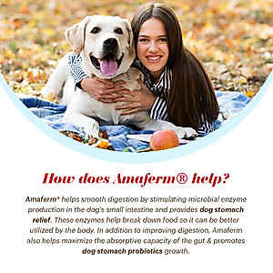 Vitalize Alimend K9 - Dog Upset Stomach Relief for Nausea, Vomiting & Diarrhea - 6 Oz