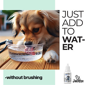 jatisse Cats and Dogs Water Additive for Oral and Dental Care: Eliminate Bad Dog Breath and Cat Bad Breath - Dog Breath Freshener - Fights Tartar & Plaque - Just Add to Water! (1.69 fl oz)