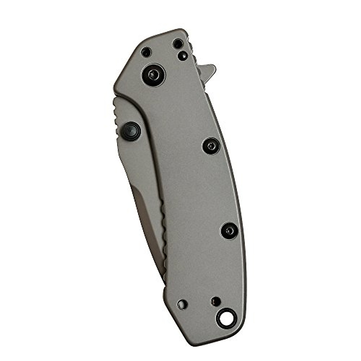Kershaw Cryo Knife, 2.75" Stainless Steel Drop Point Blade, Assisted Opening Everyday Carry Pocket Knife