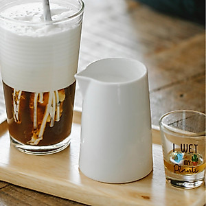 4 Pieces Plant Succulent Cactus Shot Glasses Plant Lover Wine Glass Succulent Cactus Present Mug Christmas Funny Clear Mug Glass for Women Girls, 4 Styles