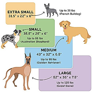 Furhaven Medium Dog Bed Reinforced & Elevated Cot w/ High Airflow Cooling - Espresso, Medium