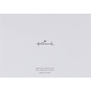 Hallmark Thank You Cards (Silver Foil Script, 40 Thank You Notes and Envelopes)