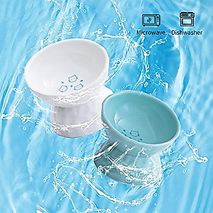 TAMAYKIM Tilted Ceramic Raised Cat Bowls, 8 OZ Food and Water Bowl Set for Cats, 5 inch Porcelain Elevated Stress Free Feeding Pet Dish, Dishwasher and Microwave Safe, 2 Pack (White & Mint Green)