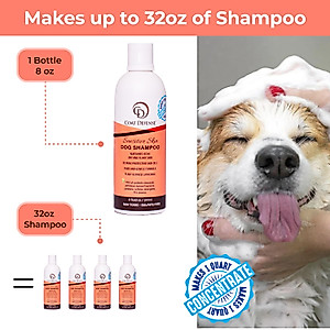 COAT DEFENSE CD Shampoo from All-Natural - Made in USA - Hypoallergenic & Concentrated | Aloe Based - Soothes and Relieves Itchy, Dry and Inflamed Skin | Safe for Everyone | 8 Ounces