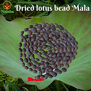 NAISHA Original Kamal Gatta Mala (Lotus Seeds) Prayer Rosary Japamala Lakshmi Puja Mala Hindu Meditation