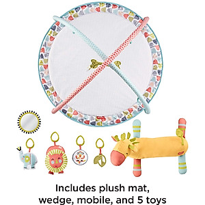 Fisher-Price Go Wild Gym & Giraffe Wedge, infant activity gym with large playmat, musical -toy and tummy time support wedge for babies [Amazon Exclusive]