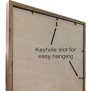 Personalized Framed Wooden Family Name Sign | Custom Family Established Wood Sign | Family Sign Wood Wall Decor… (9" x 18")