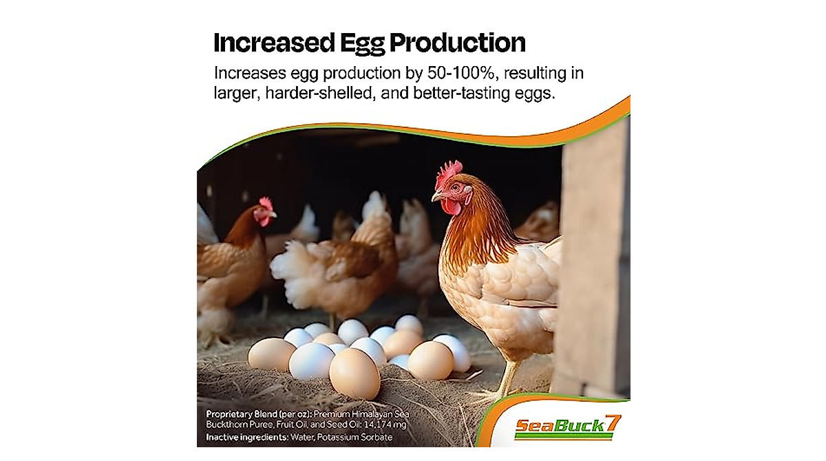 SeaBuck 7 Chicken Supplement: Boost Egg Production & Quality