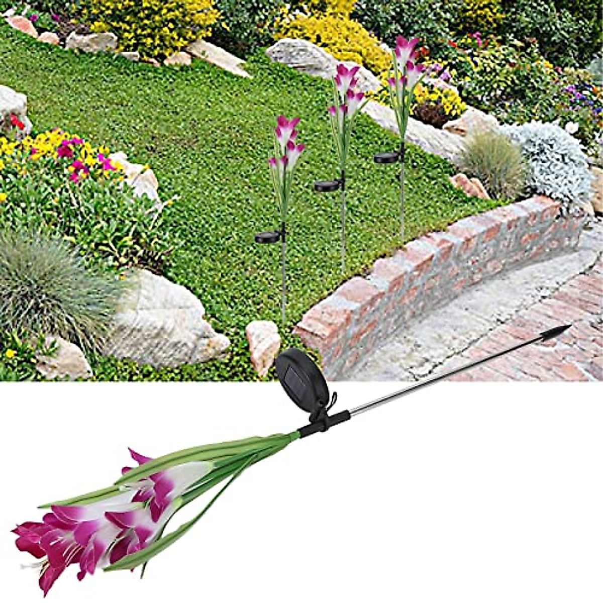 MIGONG Solar Garden Lights, Waterproof Garden Lights Outdoor Solar Lights Outdoor Garden Solar Garden Stake Lights for The Garden Trees Flowers Flowerbed Fence Walkway (Purple Color)