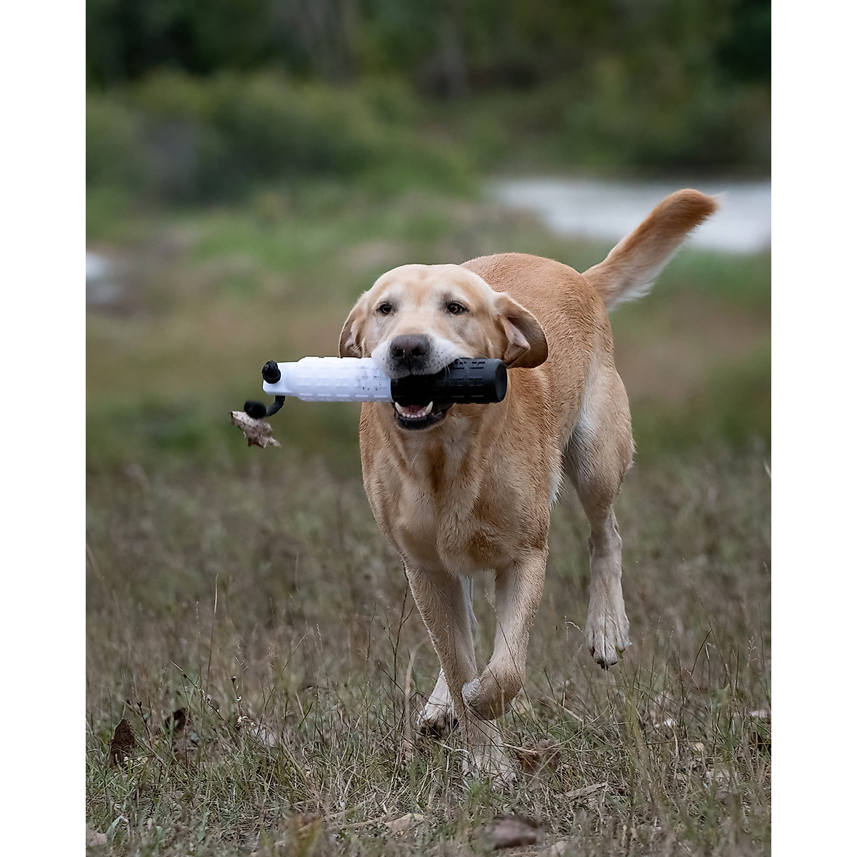 HUNTMARK Dog Bumpers – Standard Fetch Trainer for Hunting and Sporting Dogs – Puppy Training Dummy with Textured Pattern – Color-Spectrum Retrieving Bumpers – 12 x 2-inch – Blue and Yellow