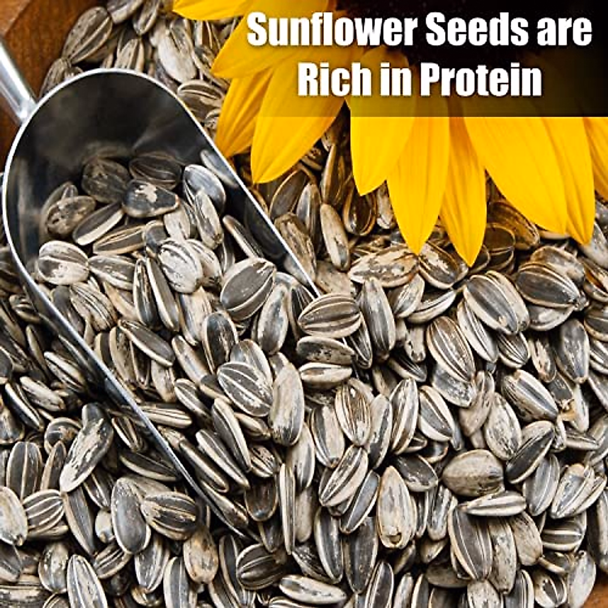 Old Potters Wildlife Striped Sunflower Seeds 3 lbs for Birds and Wildlife, Non-GMO & USA Grown, Attracts Birds (3 Pounds)