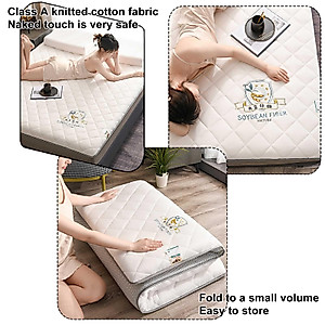 DSFSSJ Japanese Bed Floor Mattress Futon Mattress, Portable Roll Up Mattress Sleeping Pad Floor Bed for Guest Room,Tatami Mat Sleeping Pad, Back-Sided Has Breathable Mesh, White-King