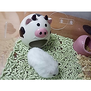 Small Animal Hideout Ceramic House Critter Bath House Cave Mini Hut Cage for Chinchilla Hamster (White)