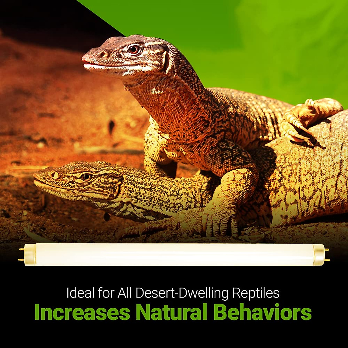 2 Pack 18W-Watt T8 Reptile Light Desert UVA UVB 10.0 Fluorescent Tube - 24" Terrarium Hood Light Suitable for Desert Reptile Lizards Bearded Dragons & More Promotes Natural Behavior UVB Bulb (24 Inch)