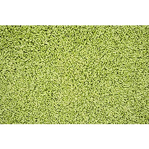 Garland Rug Jazz Shaggy Nylon Washable Bath Rug, 24 in. x 40 in, Lime Green