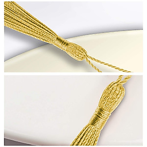 VAPKER 30 Pieces Gold Tassels 13cm/5-Inch Silky Handmade Soft Mini Tassels Floss Bookmark Tassels with 2-Inch Cord Loop for Jewelry Making, DIY Projects, Bookmarks