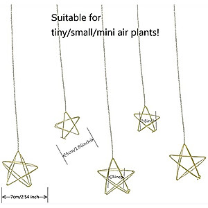 Newwe 5 Stars Kit Hanging Air Plant Holder Wall Gold Airplant Rack with Chains Home Wall Decor Boho Room Decoration Christmas Ornaments