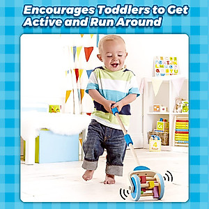 Hape Wooden Push and Pull Lawn Mower for Babies| Push Along Activity Walking Toy for Toddlers 12 Months and Up
