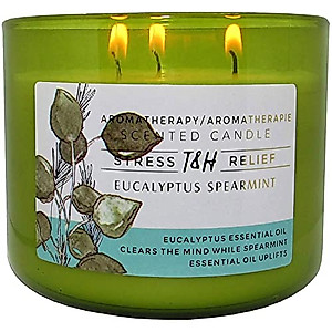 Stress Relief Aromatherapy Candles Eucalyptus Spearmint Scented Candle | 15.8 oz Soy Candles for Home | Decorative Candles Long Lasting 3 Wick Candle