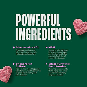 Furtify Hip and Joint Chews for Dogs I Dog Joint Supplement with Glucosamine, Chondroitin, MSM, Green Lipped Mussel & Turmeric I Soft & Chewable Support for Pet Health, Mobility and Stiffness - 90 ct