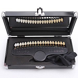 BESY Professional 3D R-20 Dental Tooth Teeth Whitening Shade Guide for Dentist Tracking Teeth Whitening Course, Tooth Shade Guide with 20 Colors