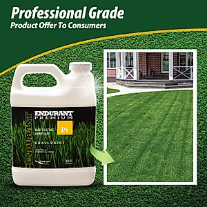 Endurant Green Grass Paint for Lawn and Fairway Treats Dry or Patchy Lawn – Pet Friendly Eco-Friendly Spray Paint and Turf Grass Dye