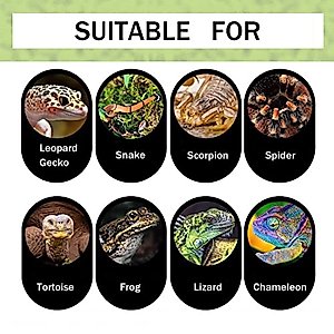 Hamiledyi Reptile Hideout Cave,Resin Simulation Rock Hideout Terrarium Habitat Decortion for Lizards Geckos Chameleons Frogs Turtles Snakes