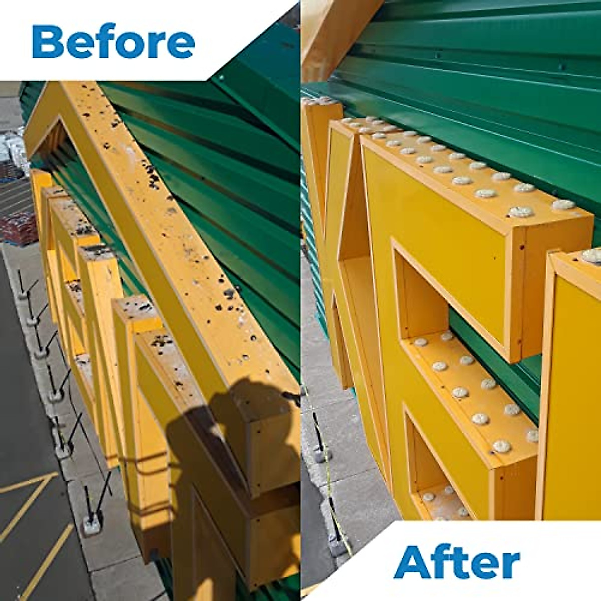 Bird Barrier Dissolve-It Max Enzyme Cleaner - Mix with Water – Bird Dropping Cleaner - Dissolves Waste – Treat Affected Areas Before Installing Bird Control Products - Bird Cage Cleaner - 1 Pint Makes 1/2 Gallon